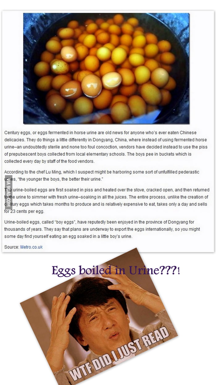 Egg Fermented in Pee - 9GAG