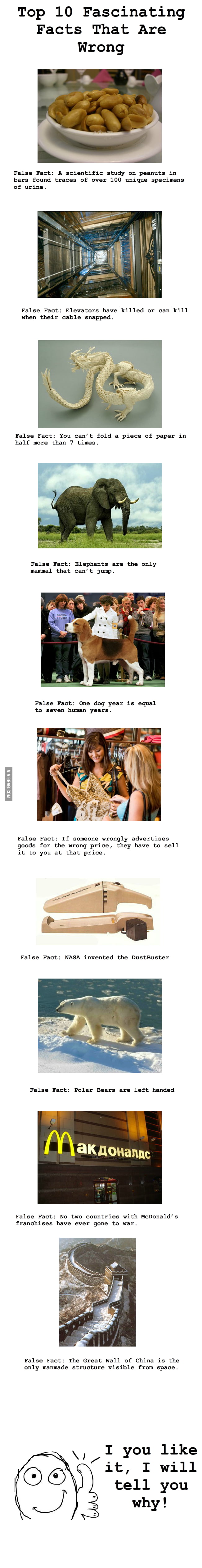 Top ten fascinating false facts - 9GAG
