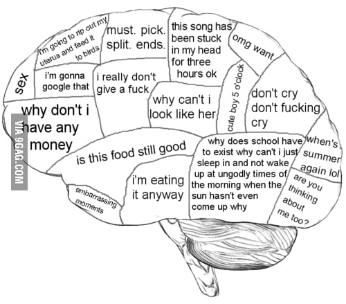How a girls brain works - now you know - 9GAG