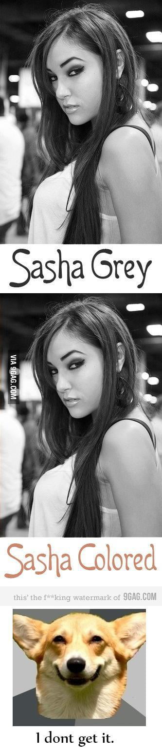 Sasha Grey [Fixed] - 9GAG