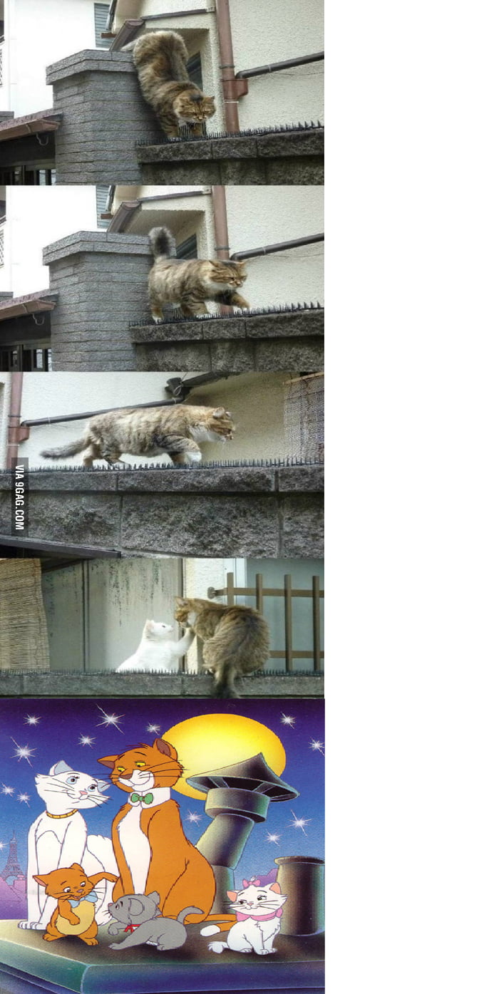 True Love [Fixed] - 9GAG