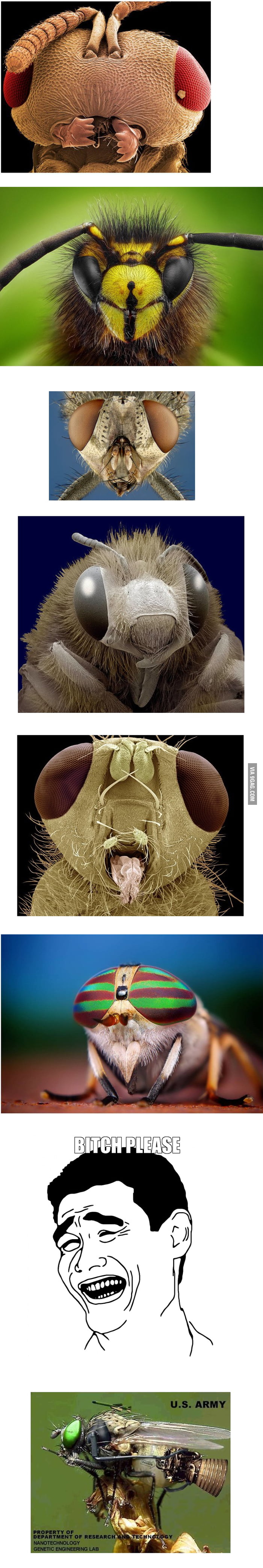 Just some bugs on a Microscope - 9GAG