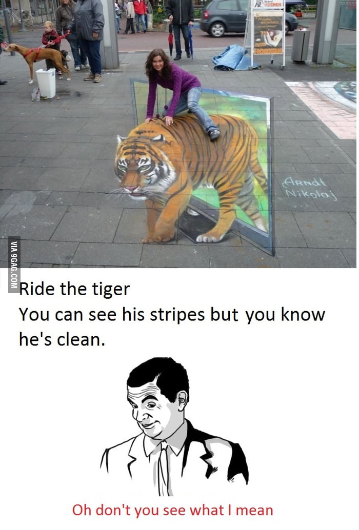 Ride the tiger - 9GAG