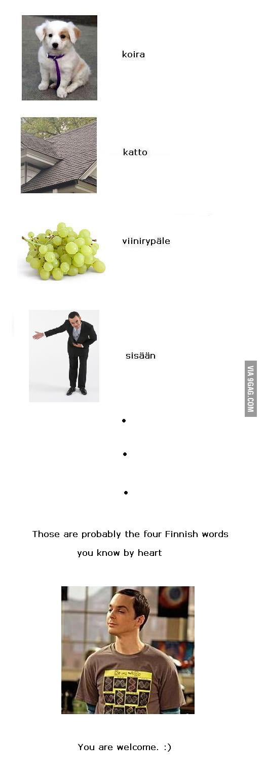 Thank you Dr Sheldon Cooper! - 9GAG