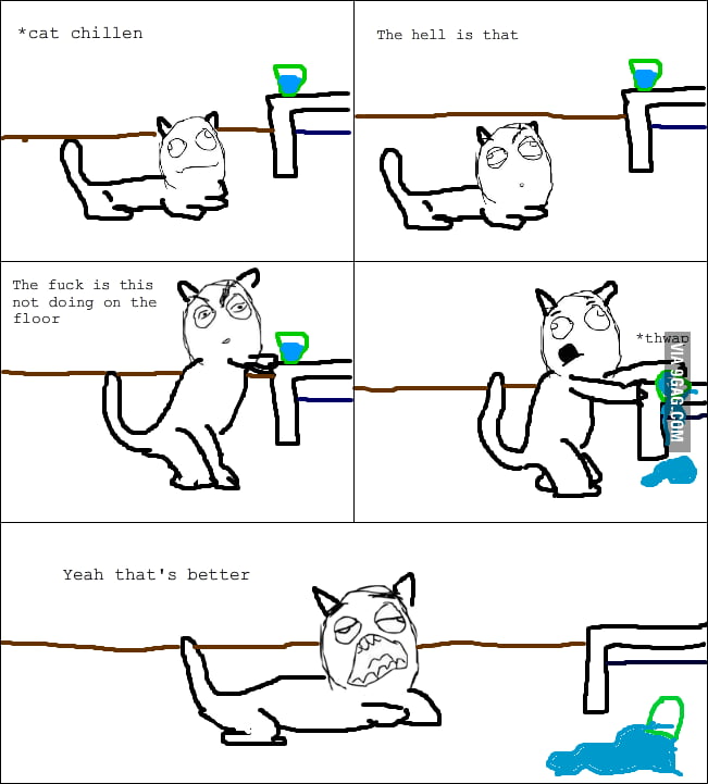 Cat Logic - 9GAG