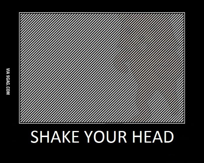 SHAKE YOUR HEAD! - 9GAG