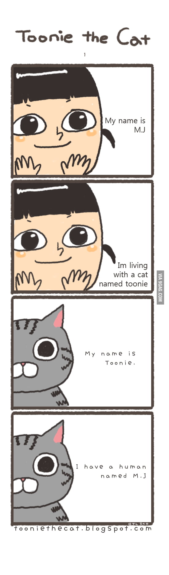 Toonie the cat.1 - 9GAG