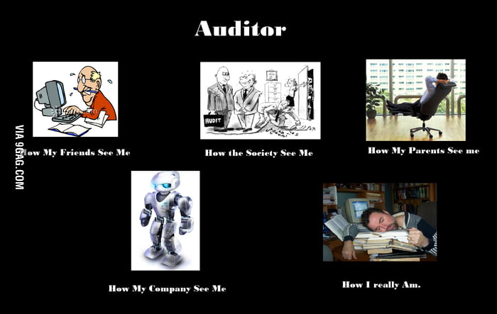 You're an Auditor and You know it! - 9GAG