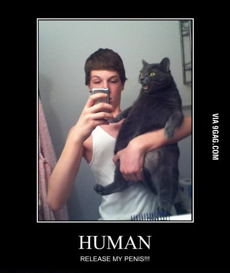 RELEASE ME NOW!!!! - 9GAG