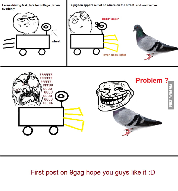 Troll Pigeon - 9GAG