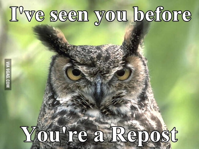 Owls always work - 9GAG