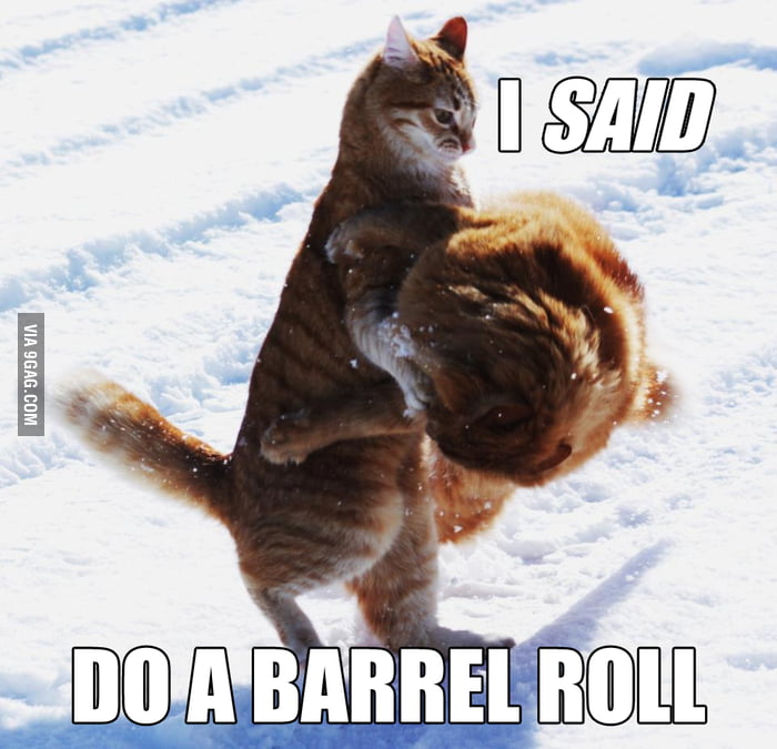 Do a barrel roll !! - 9GAG
