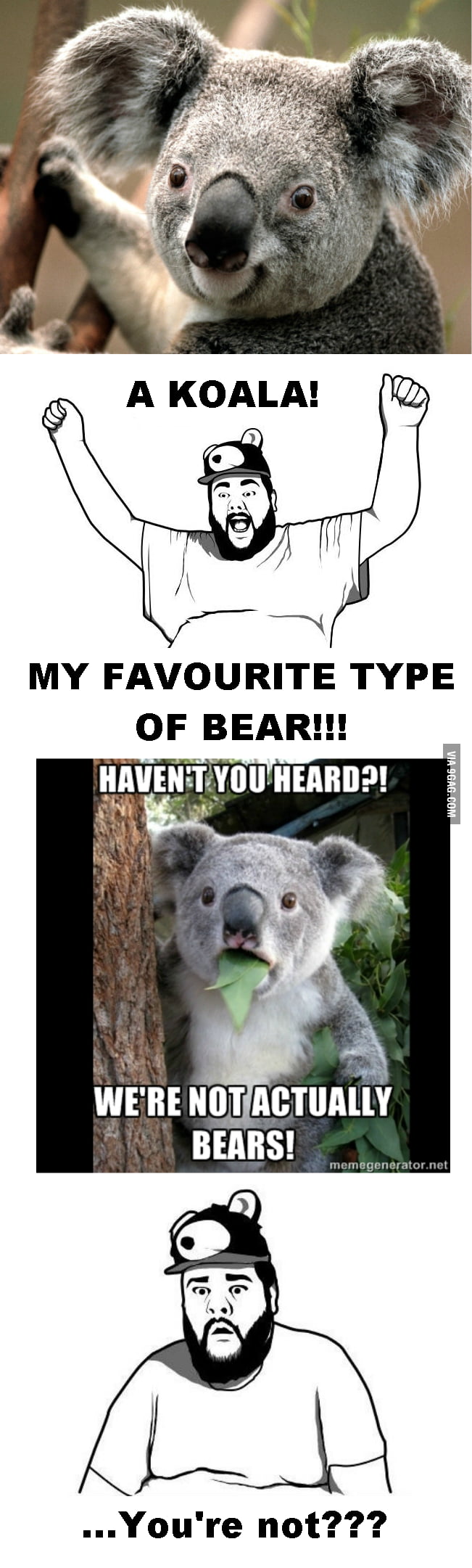 Poor bear guy... - 9GAG