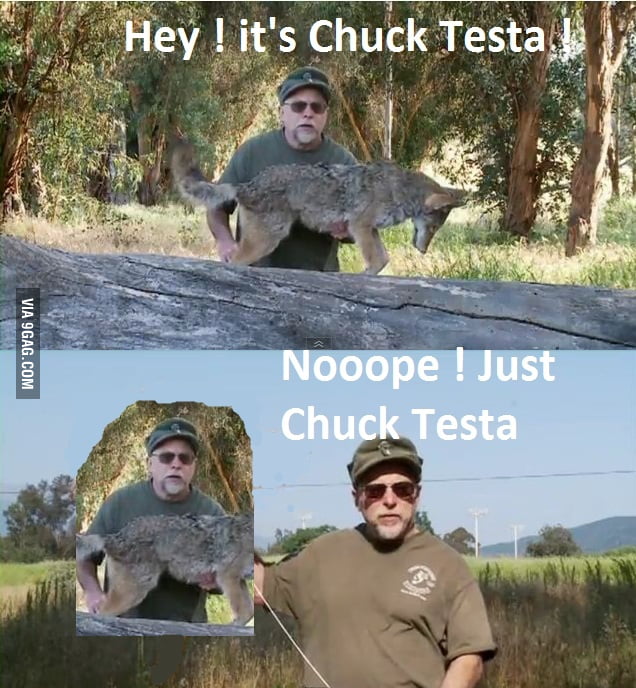 Chuck Testa ? - 9GAG