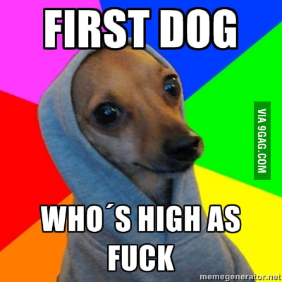 Ultra High Dog is High! - 9GAG