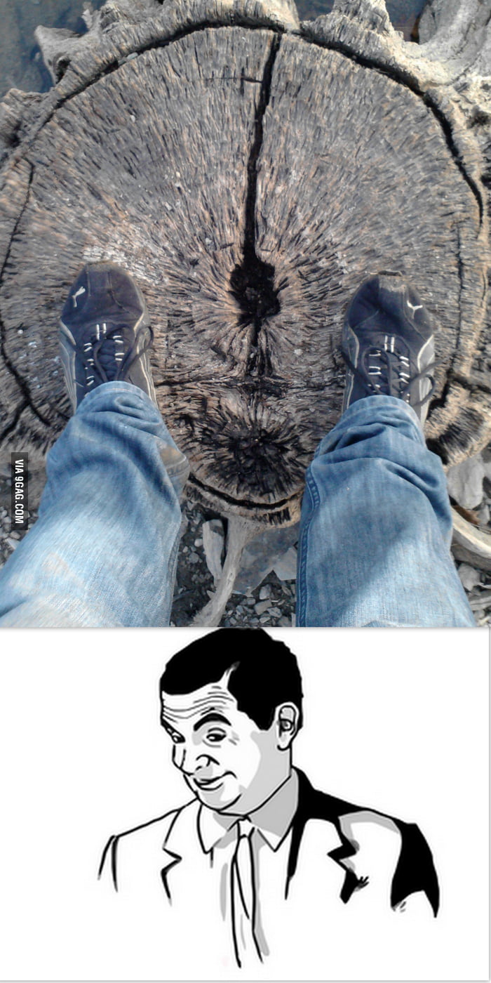 Sexy stump - 9GAG