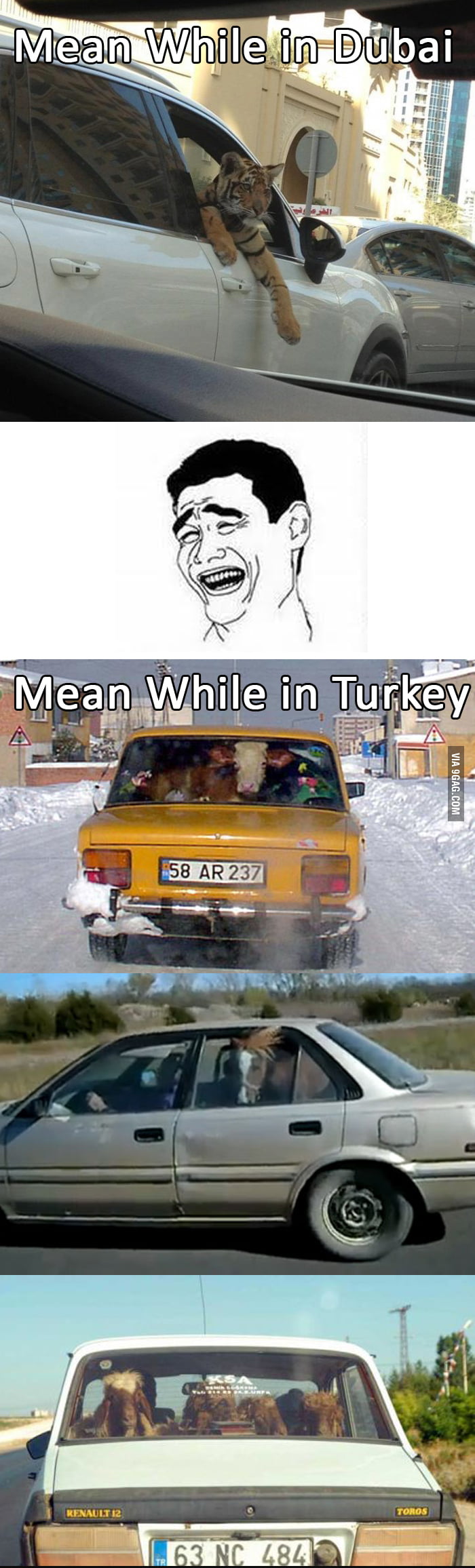 Mean While In Turkey - 9GAG