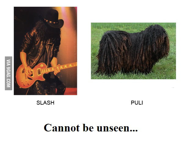 Just Slash... - 9GAG