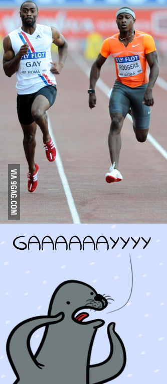Gaaaaay! - 9GAG