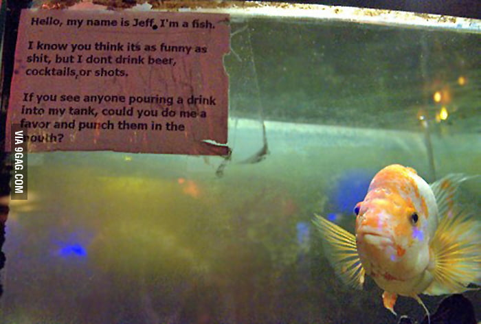 Badass fish! - 9GAG