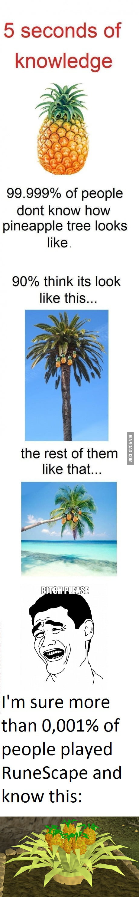 True pineapple story - 9GAG