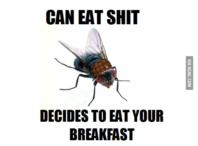 Scumbag Fly - 9GAG