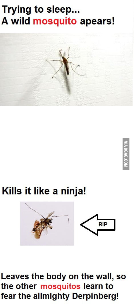 Fear me, blood suckers! - 9GAG