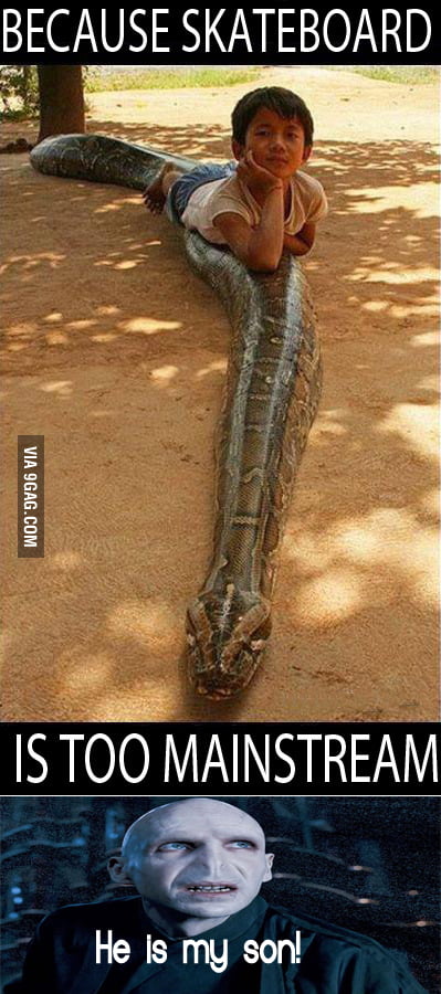 Because skateboard is too mainstream [Fixed] - 9GAG