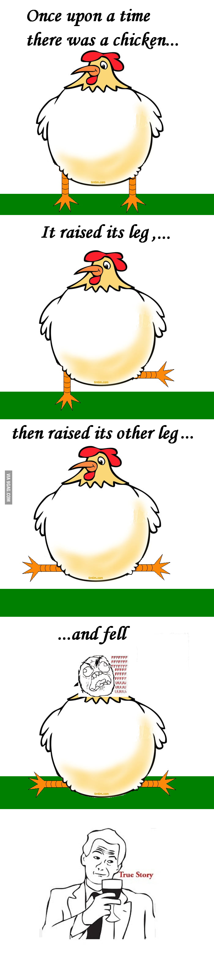 The brave chicken... - 9GAG