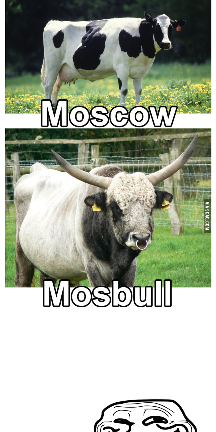 Moscow... - 9GAG