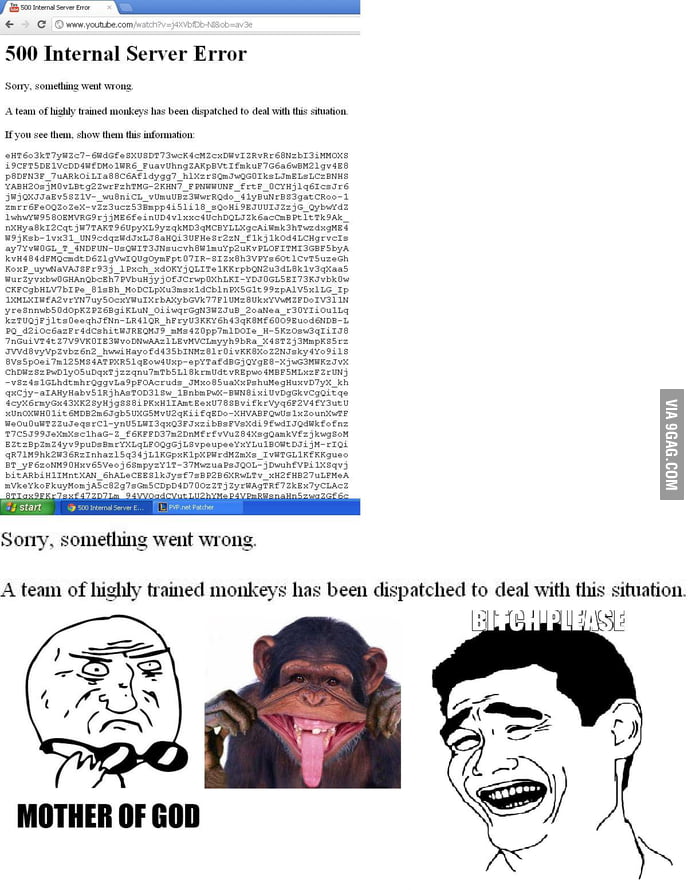 A team of highly trained monkeys???? - 9GAG
