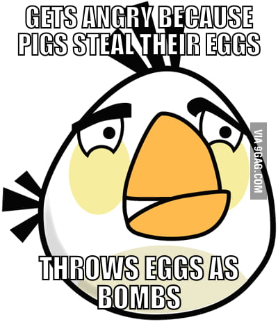 Angry birds logic. - 9GAG