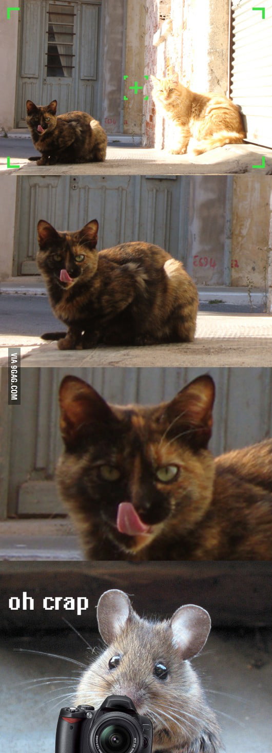 Say Cheeeee,, Oh crap! - 9GAG