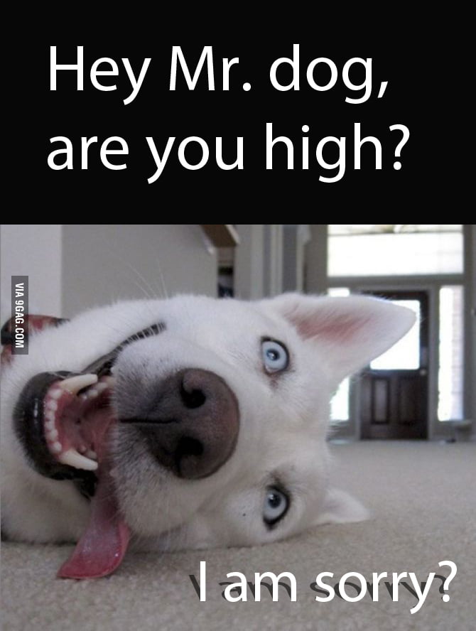 Are u high? - 9GAG