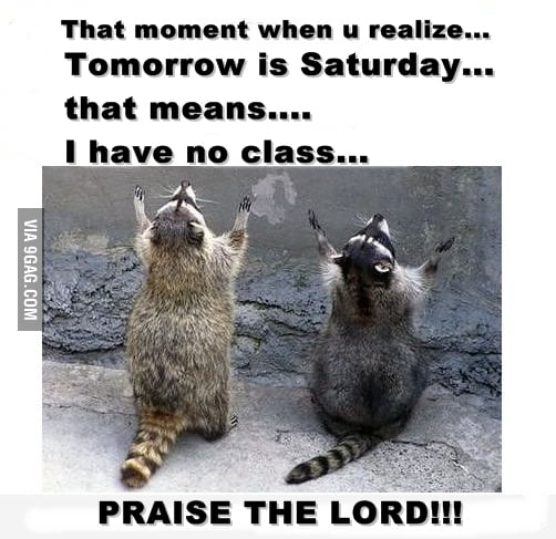 No class tomorrow... - 9GAG