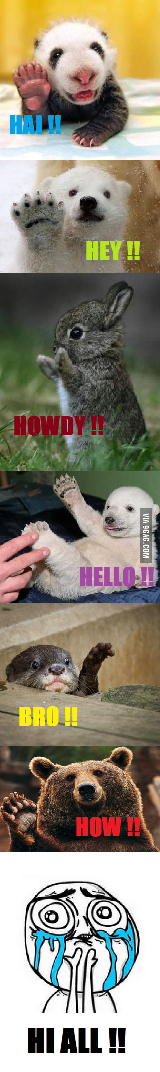 Animal greetings ... - 9GAG