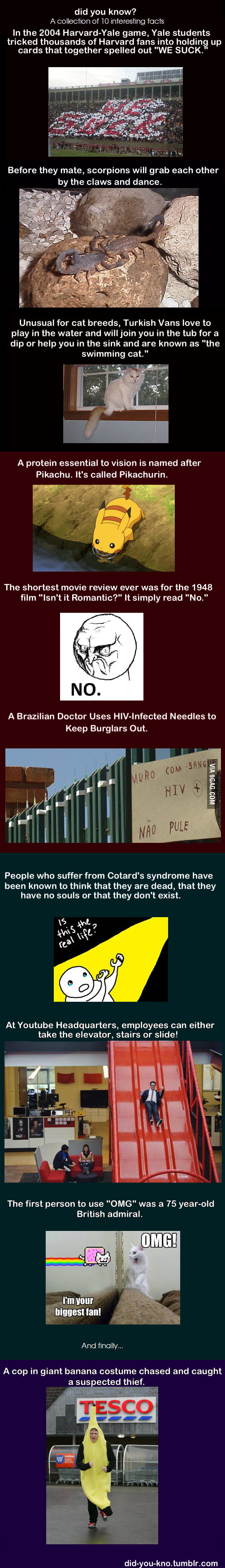 Just Some Interesting Facts :) - 9GAG