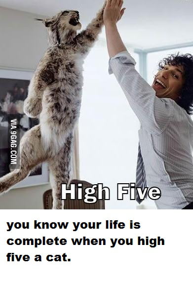 Life is now complete - 9GAG