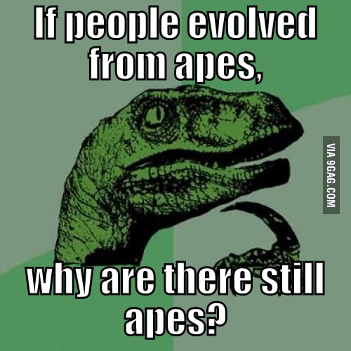 Evolution - 9GAG