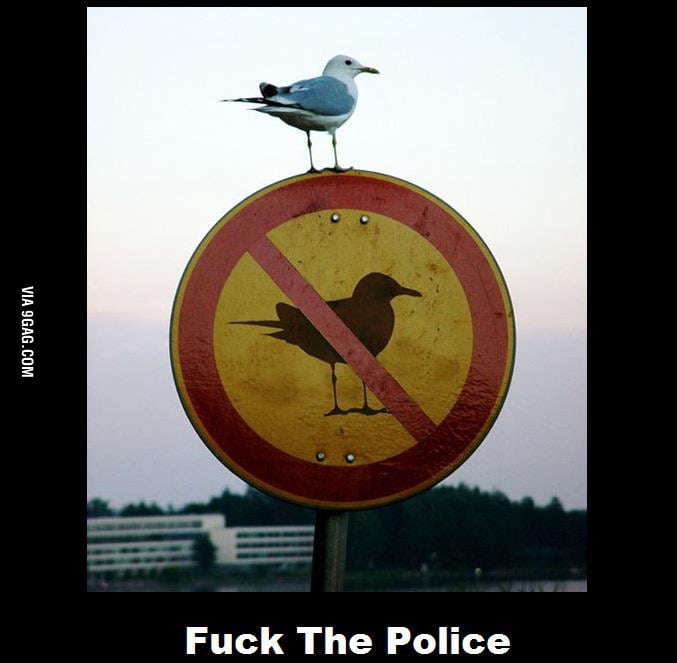 F**k the police. - 9GAG