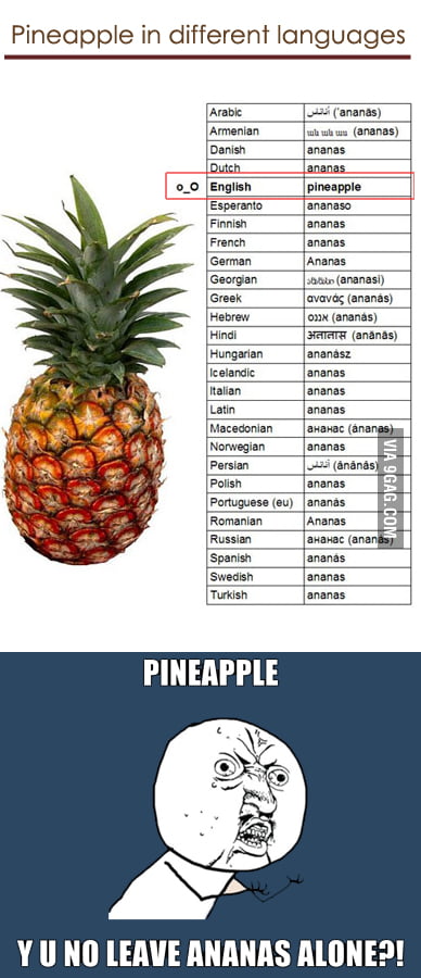 MOTHER OF ANANAS (pineapple) - 9GAG