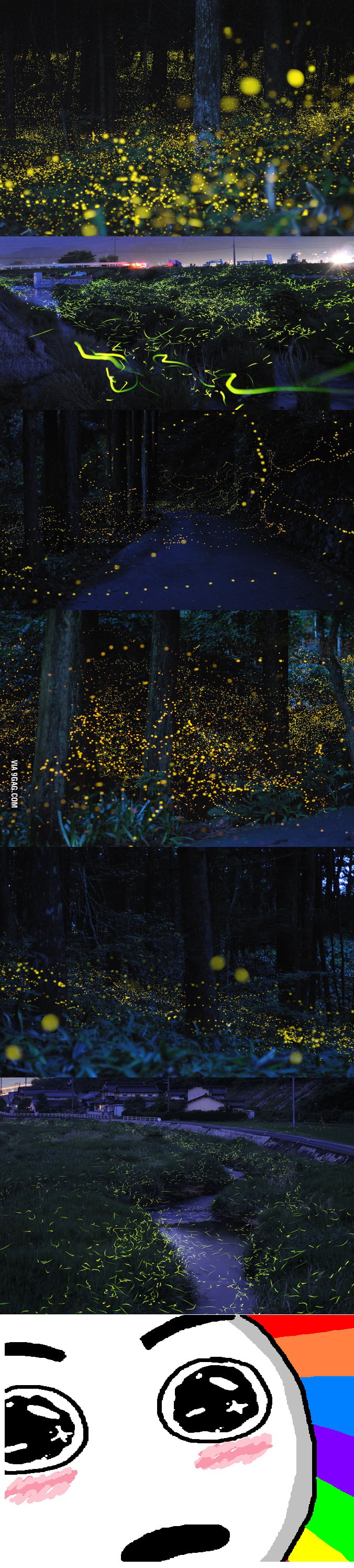 Just fireflies.... - 9GAG
