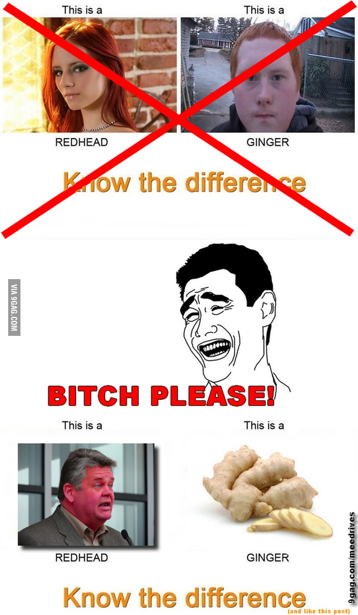 The REAL difference. - 9GAG