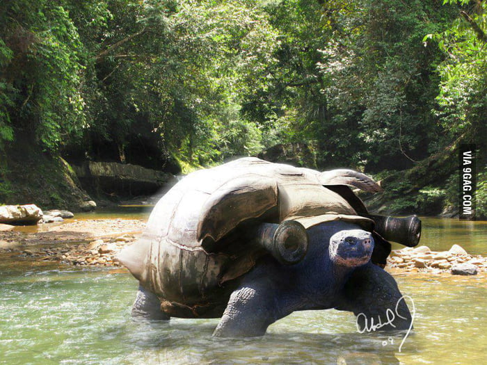 I choose you blastoise.... ! - 9GAG