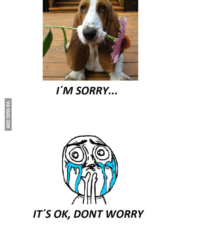 I´m sorry... - 9GAG