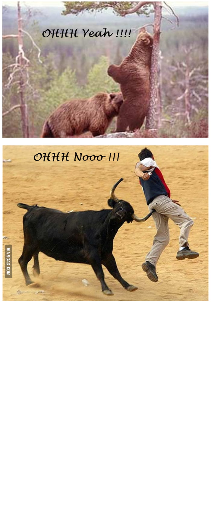 Ohh yeah... ohhh noooo - 9GAG