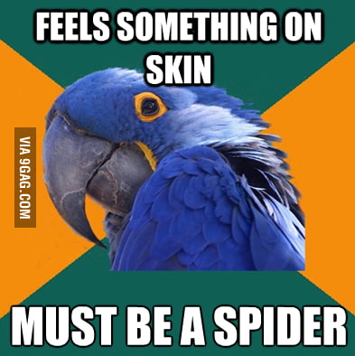 Paranoid Parrot Is Paranoid. - 9GAG