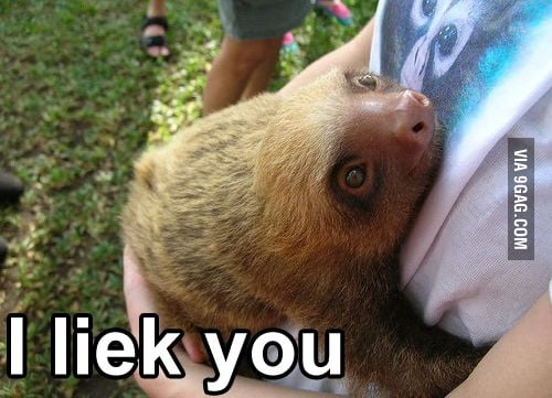 Cute or what? - 9GAG