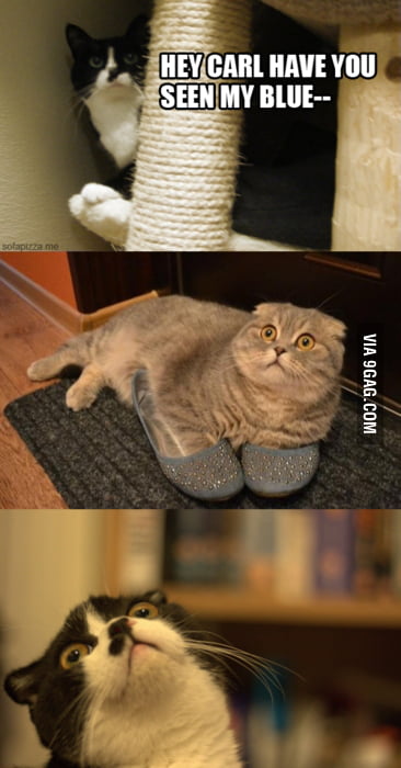 Hey Carl have you seen my... - 9GAG