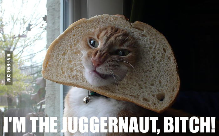 Don't you know who I am? - 9GAG